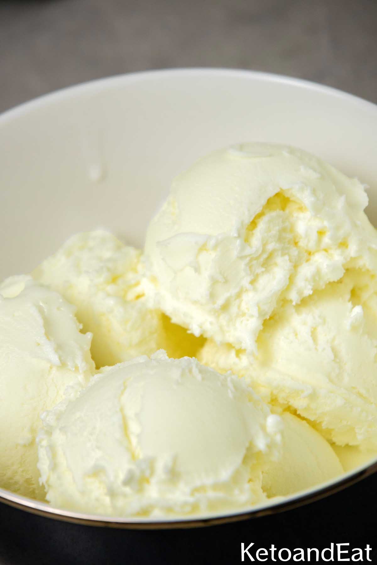 2 Ingredient Carnivore Ice Cream : Easy Zero Carb Ice Cream