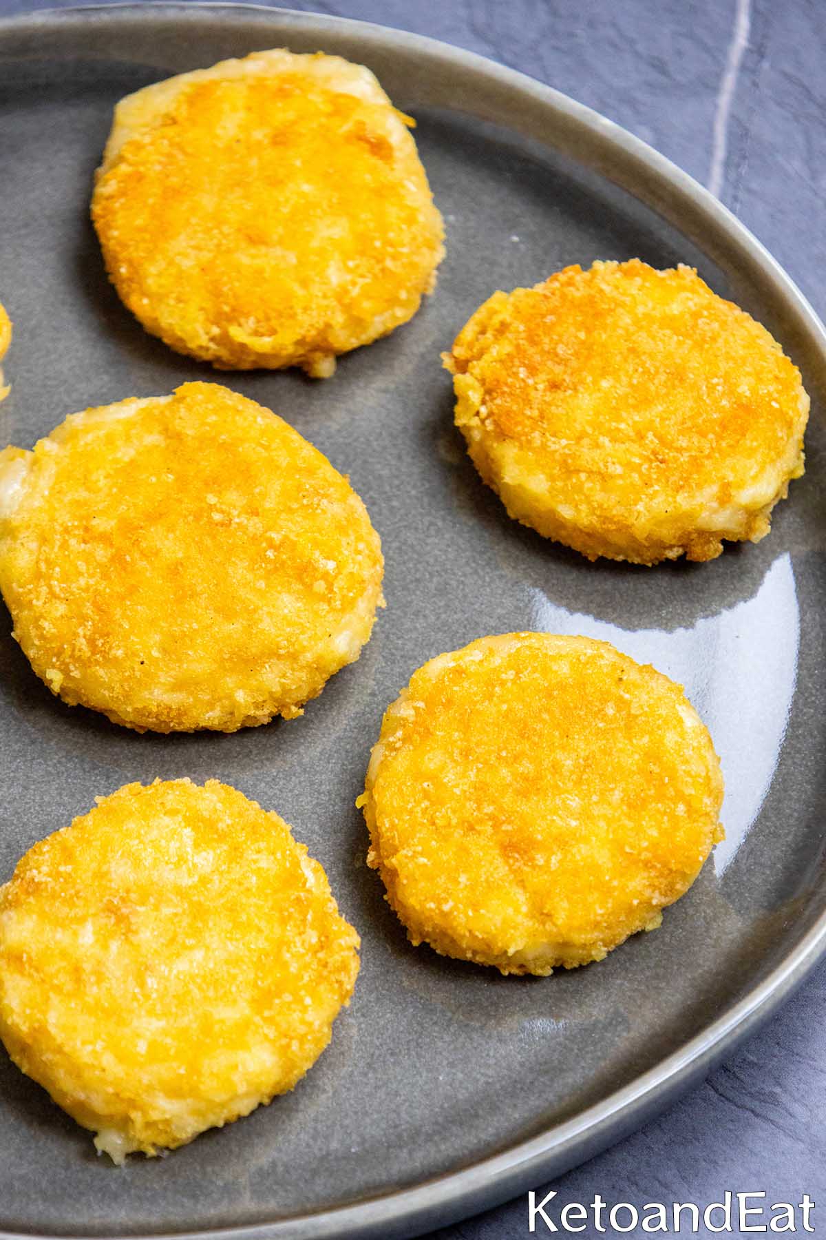 15 Best Carnivore Cheese Snacks (Easy Recipes)