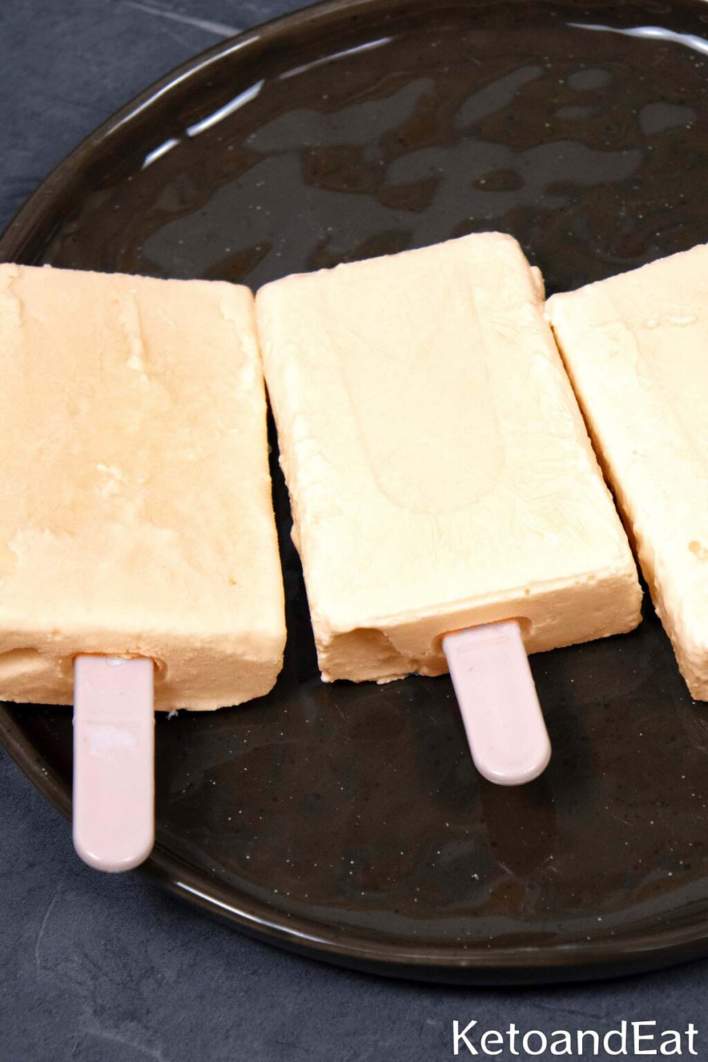 Carnivore Coffee Popsicles- Easy Carnivore Diet Recipe