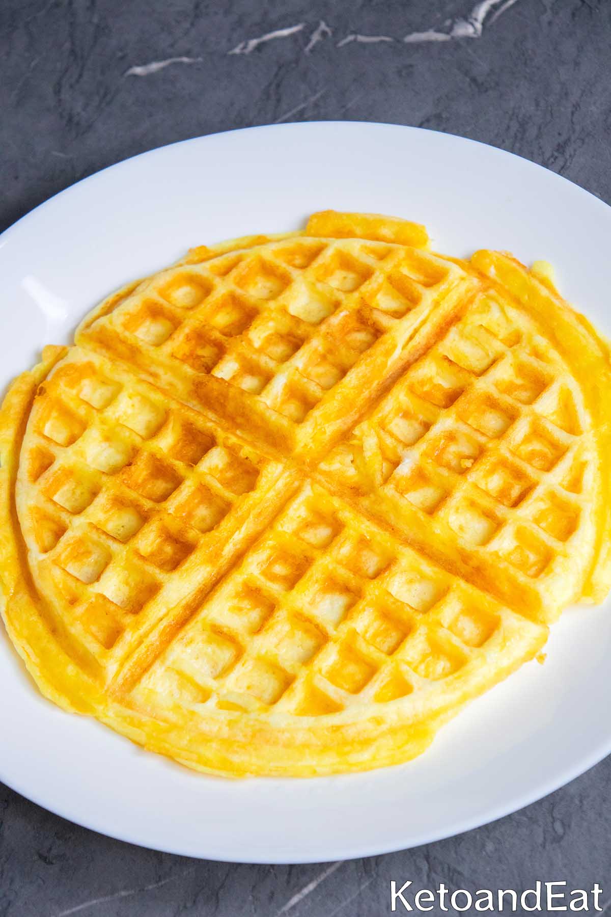Carnivore 2 Ingredient Waffles: Perfect Carnivore Treat