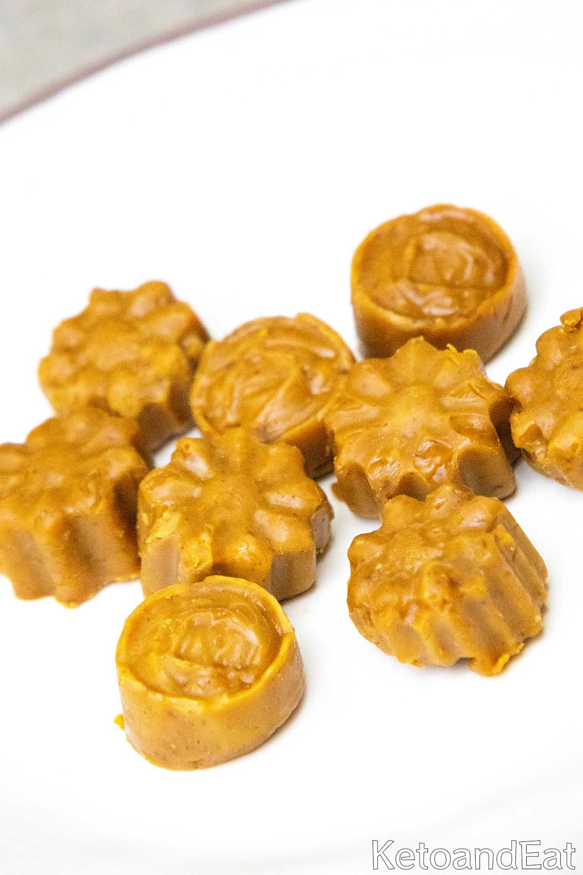 Carnivore Fudge Candies | 3 Easy Steps | Carnivore Diet Friendly