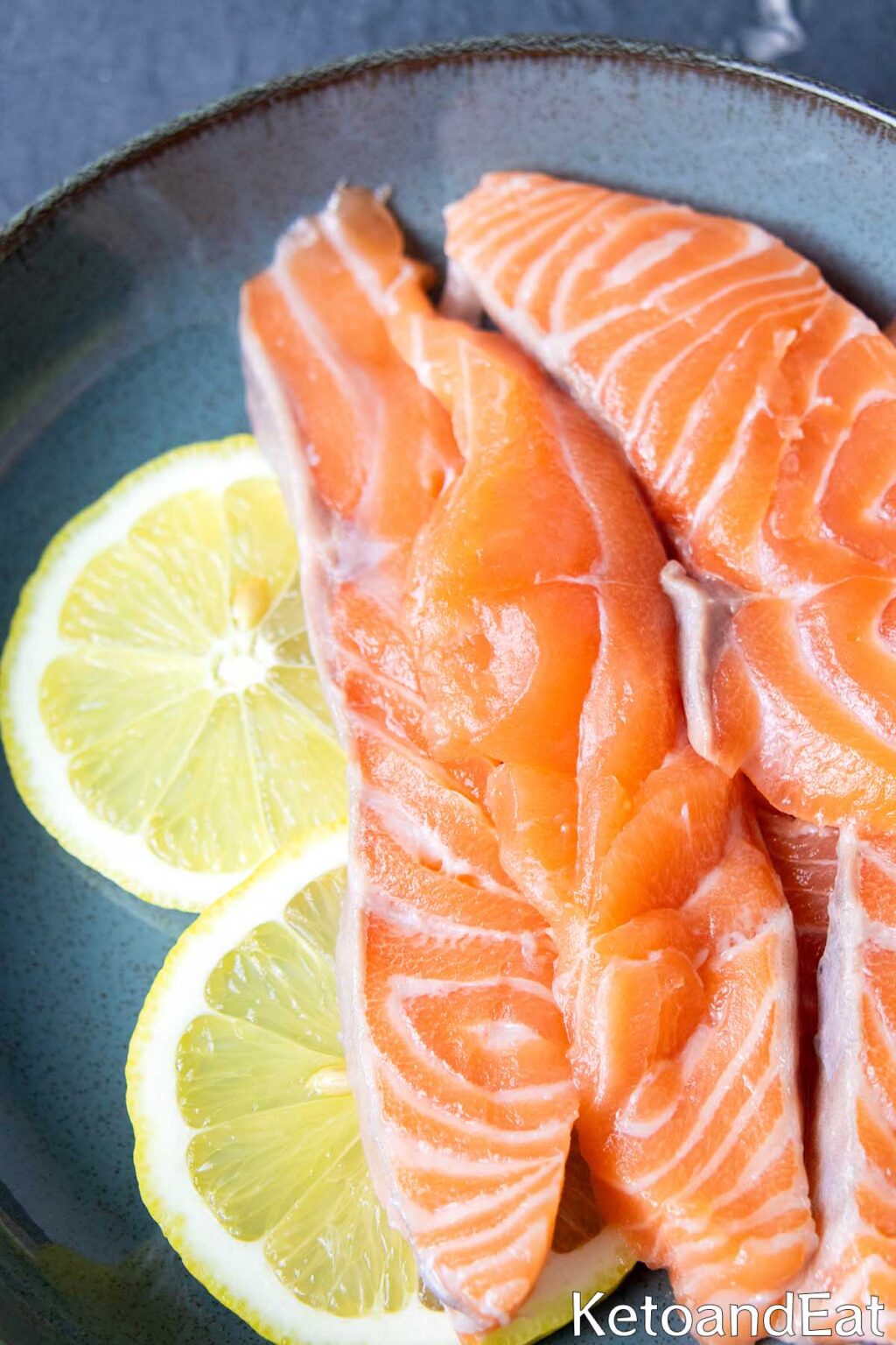 Carnivore Quick Cured Salmon- Carnivore Diet Recipe