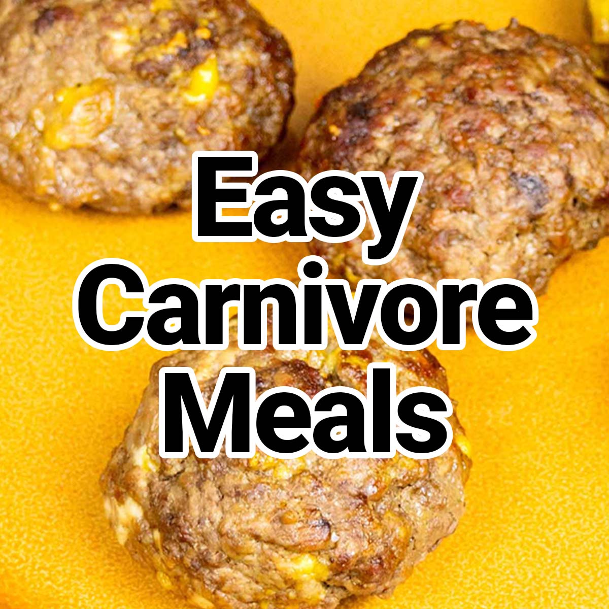 40 Easy Carnivore Meals - Best Carnivore Diet Recipes