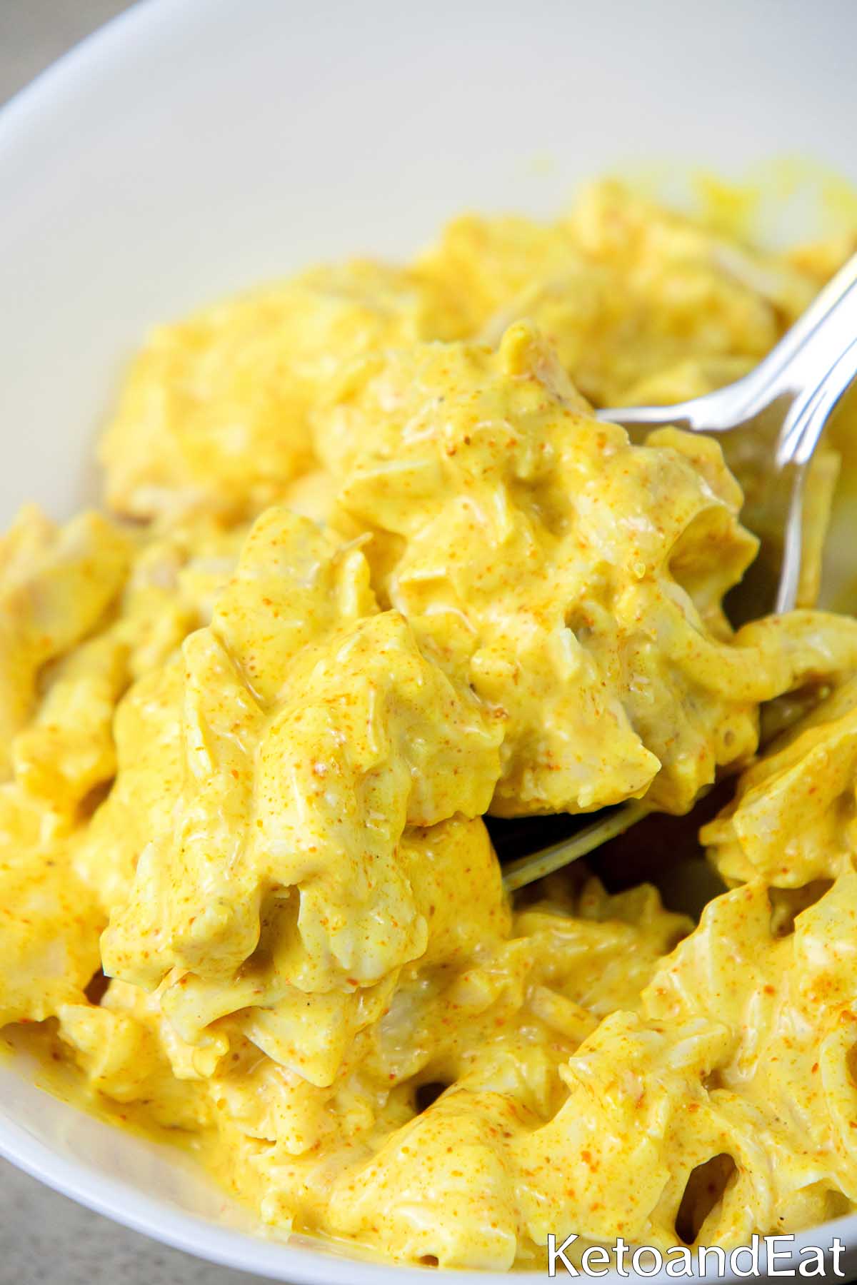 20+ Best Carnivore Chicken Recipes